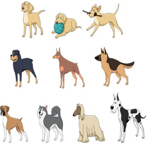 Understanding Multiple Allelism in Genetics | PPT