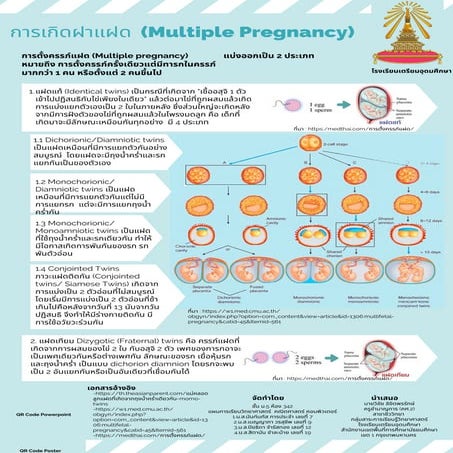Multiple pregnancy 342 group 7 | PDF
