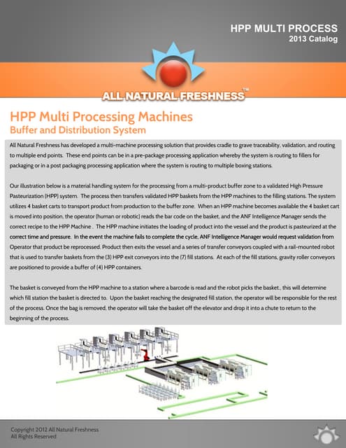 HPP Stackable Pallets Buffer Solution | PDF
