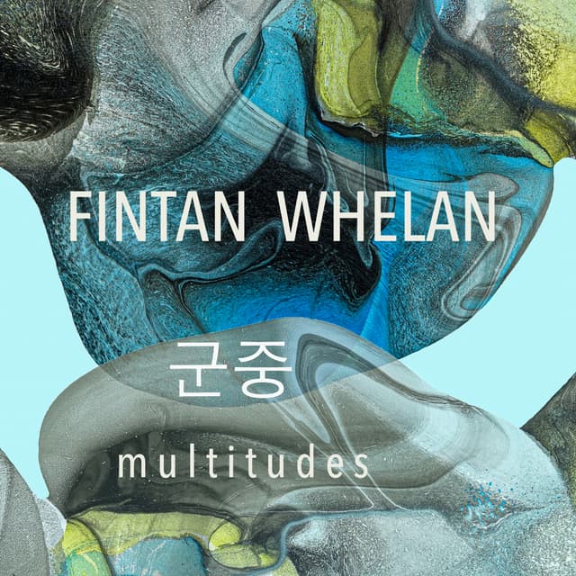 Multitudes - Fintan Whelan's solo exhibition at Parnell Gallery | PDF
