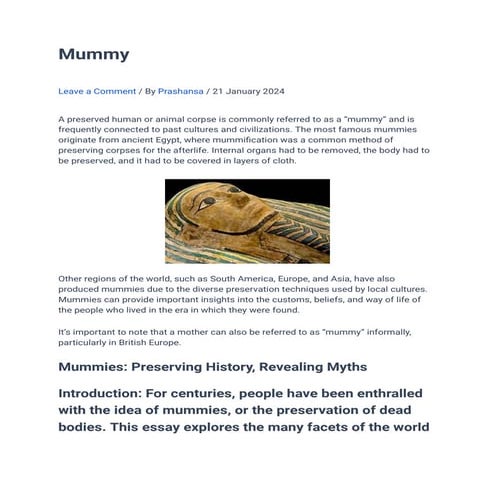 Mummy | PDF