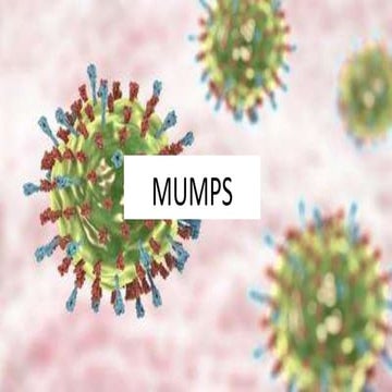 Mumps | PPTX