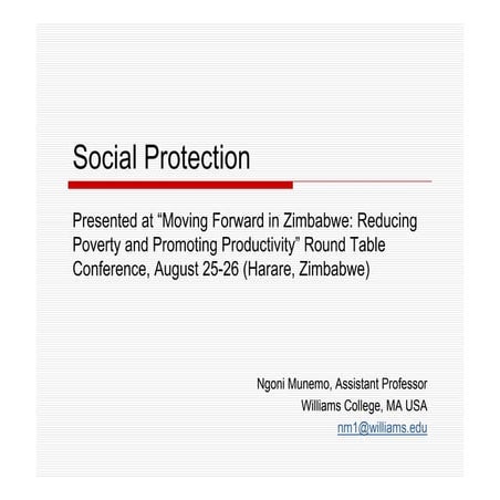Social Protection | PDF