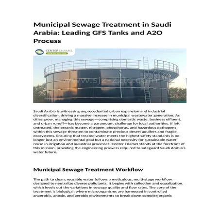 Elevating Municipal Sewage Treatment in Tunisia-GFS Tanks and A2O ...