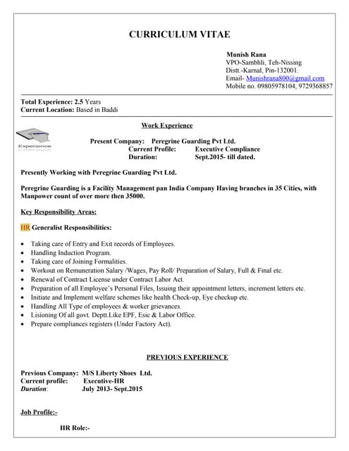 cv chika | DOC | Human Resources | Business