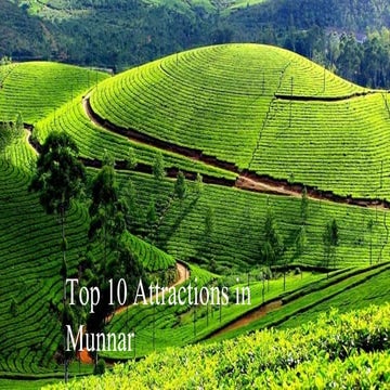 Munnar | PPTX