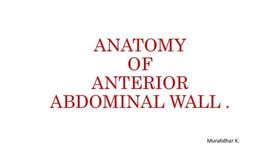 Abdominal wall anatomy and its clinical importance | PPT