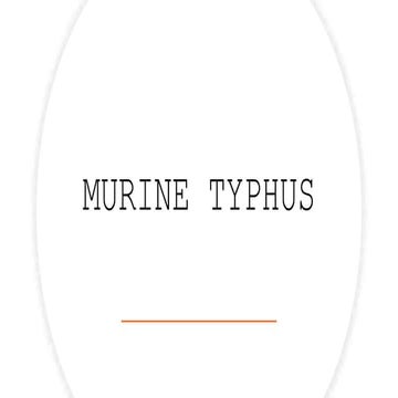 Murine Typhus presentationMurine typhus is a flea-borne illness caused ...
