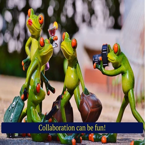 Maria Murphy's Final Professional Persona Project | PPT