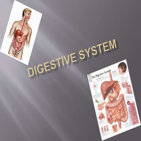 digestive system | PPTX