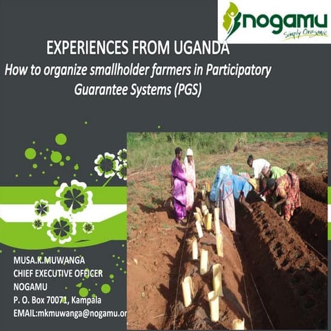 Musa pgs experiences uganda 2014 | PPTX