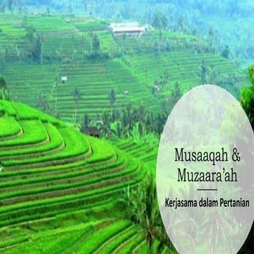 Musaqah & muzara'ah.pptx