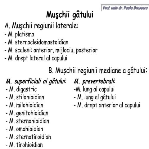 Muschii gatului | PDF