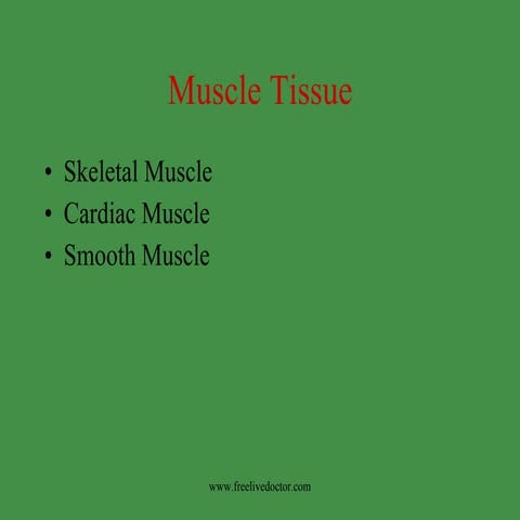 Muscle | PPT