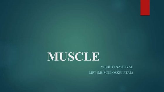 muscle structure_and_function | PPT