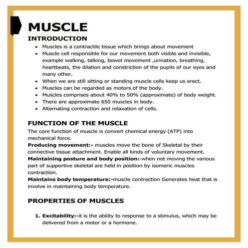 MUSCLE physiology assignment and good notes for exam | PDF