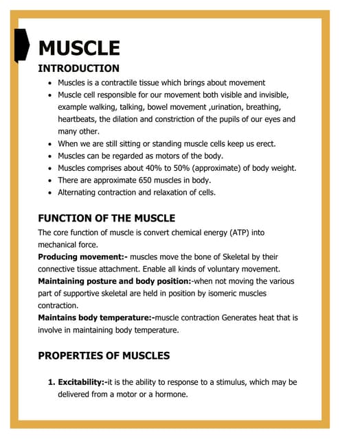 The Muscular System | PPT