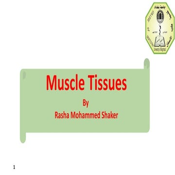 Muscle-Tissues-Lab-12م.-رشا-محمد-شاكر.pdf