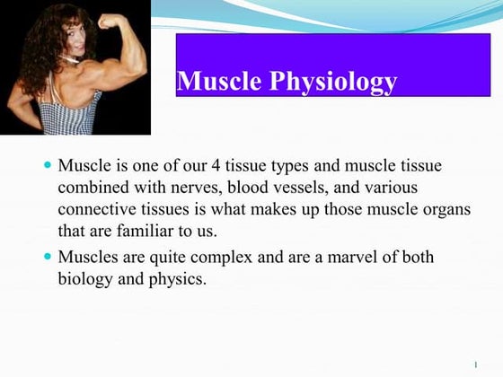 Muscle 1.ppt