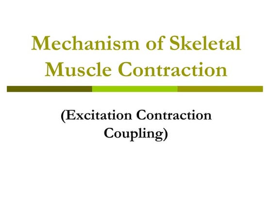 Active movement - Assisted exercises | PPT