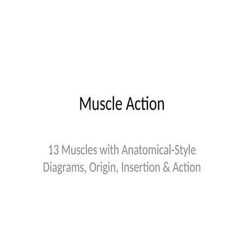 Muscle_Action_Anatomical_Diagrams.pptx123 | PPTX