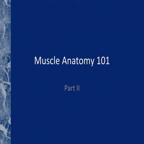 Muscle Anatomy 101 Pt2 | PPT