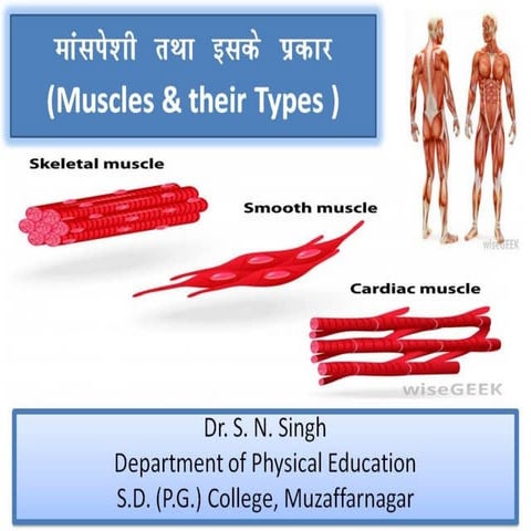 Muscle and its types by Dr. S. N. Singh | PPT