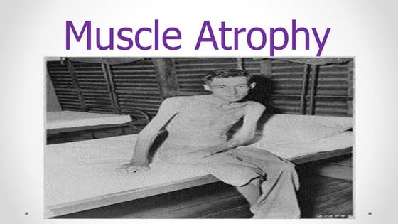 Muscle Atrophy on Astronauts | PPT