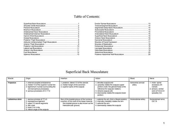Muscles of thorax | PPTX
