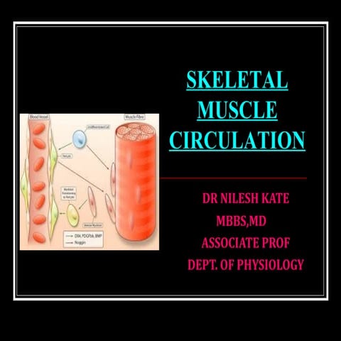 MUSCLE CIRCULATION | PPT