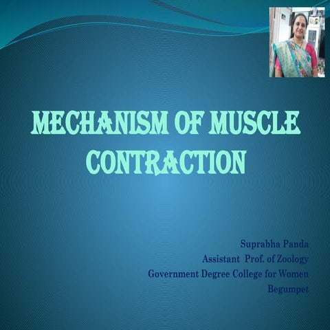 Mechanism of muscle contraction | PPTX