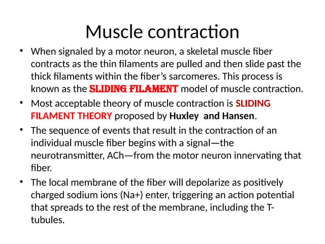 Muscular contraction | PPTX