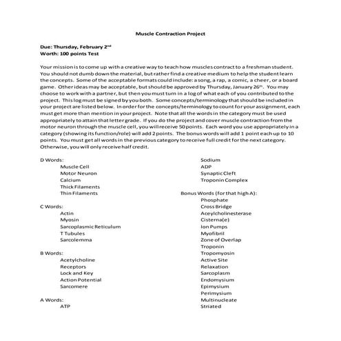 Muscle contraction project | DOCX