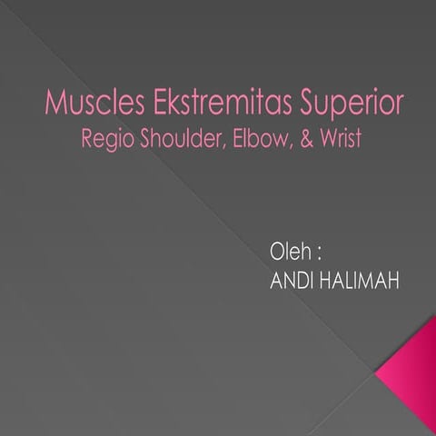 Muscle Extremitas Superior regio shoulder, elbow, dan wrist | PPTX