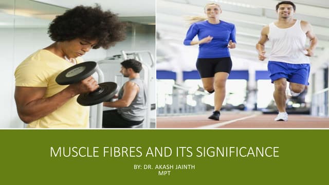 Muscle fibre types | PPT