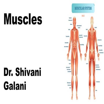 muscle general anatomy by anatomist boke | PPTX