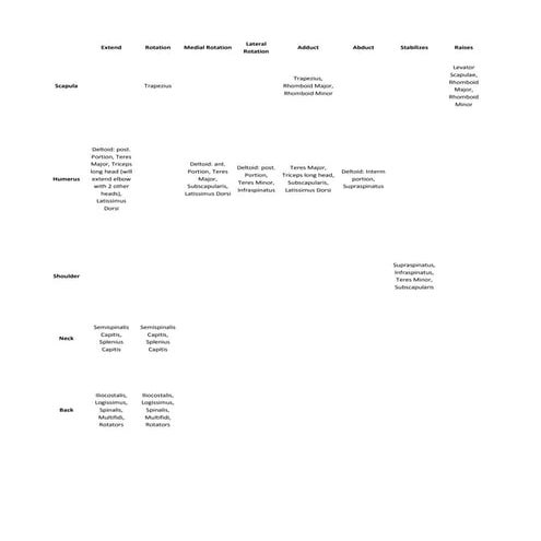 Muscle groups back and posterior shoulder | XLSX