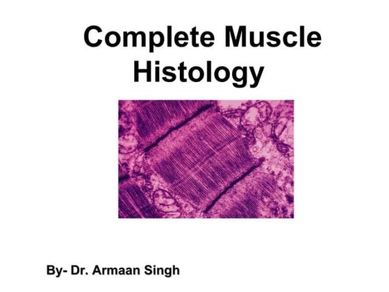 muscle structure_and_function | PPT | Biological Sciences | Science