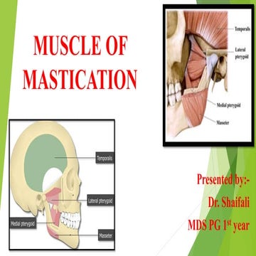 Muscle of mastication | PPTX