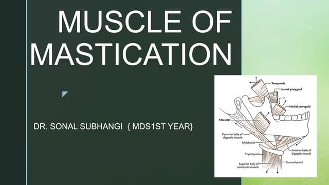 Muscles of Mastication of oral surgery in Regional Dental College 3rd ...