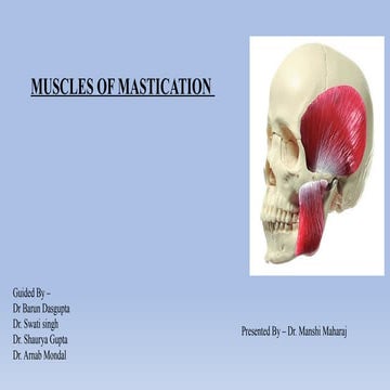 muscle of mastication by PGt student MDs | PPT