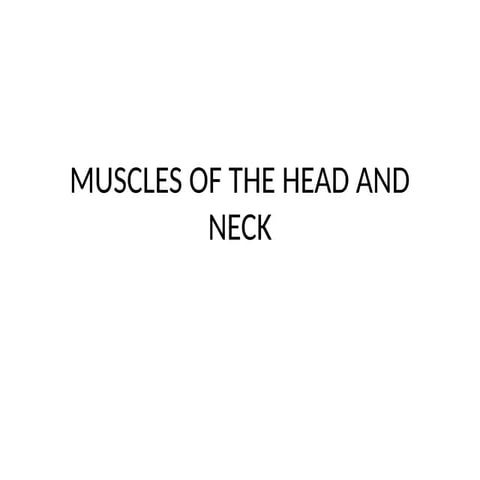 Muscle chart | PDF