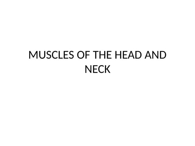 Muscle chart | PDF