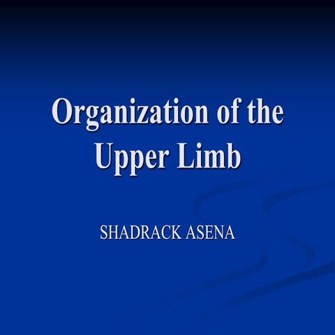 MUSCLE ORGANIZATION OF THE UPPER LIMBS.ppt