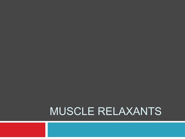 GCSE PE Revision: Antagonistic muscle pairs | PPTX