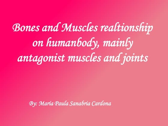 Gcse Pe Revision Antagonistic Muscle Pairs Ppt