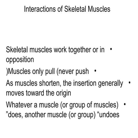 Muscles | PPT