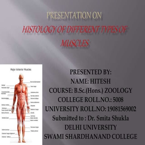 Structure and histology of different types of muscles | PPTX