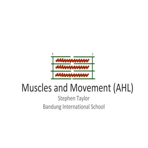 Muscles and Movement | PDF