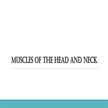 MUSCLES-OF-THE-HEAD-NECK-GROUP1....pptxx | PPTX